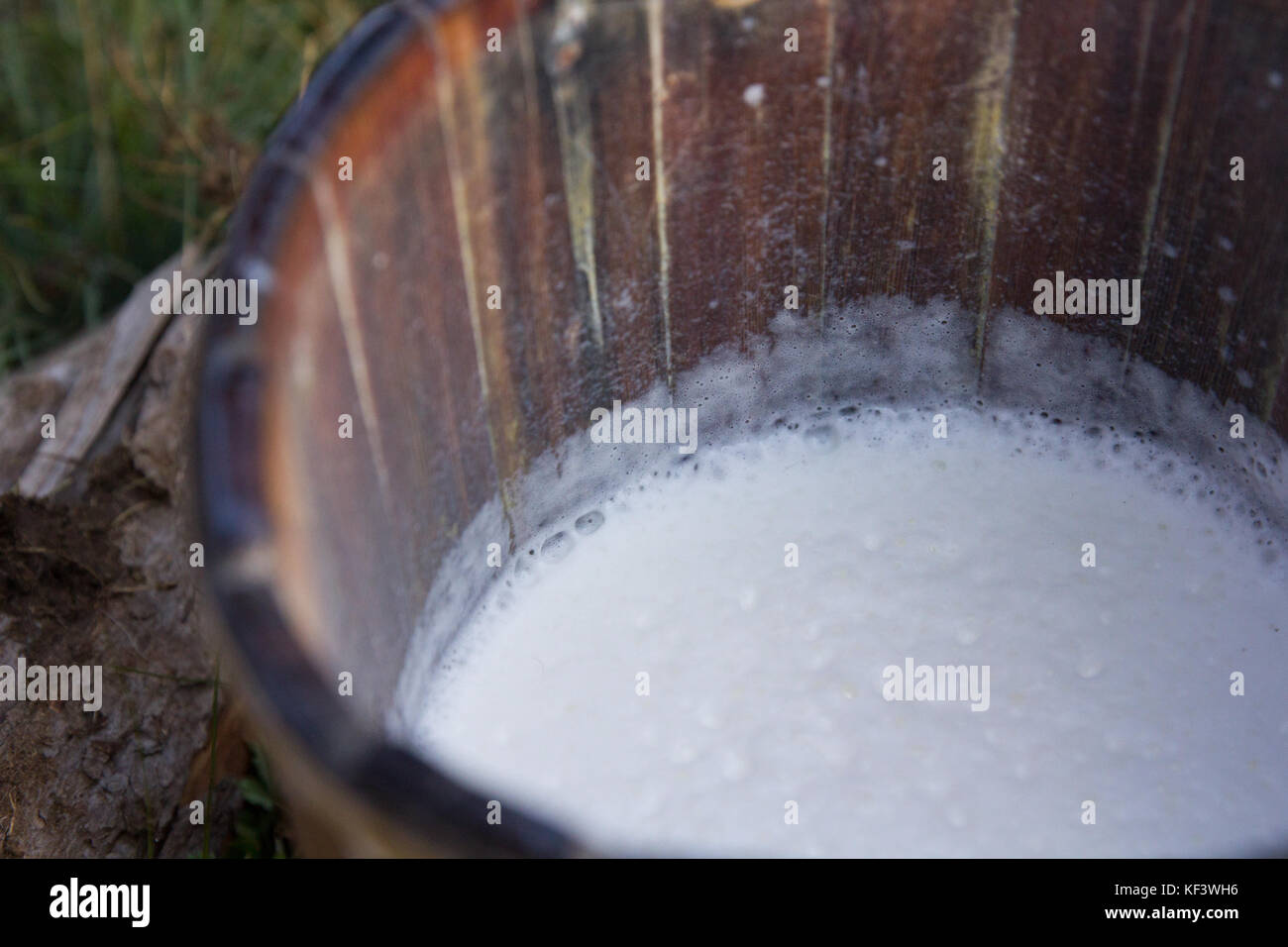 Close up of fresh foaming cow and yak milk in an old fashioned wooden ...