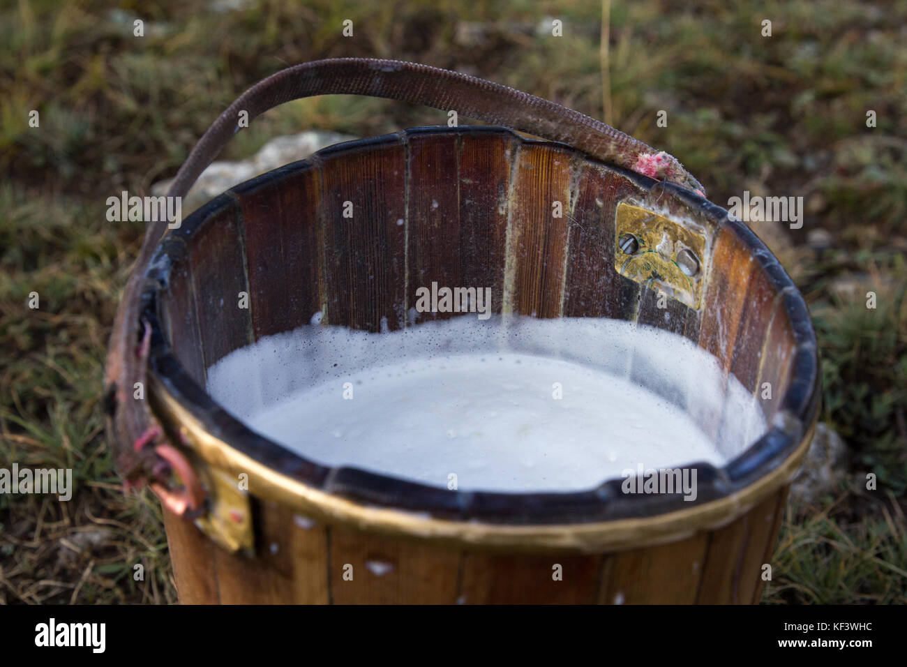 Cow milk bucket hi-res stock photography and images - Alamy