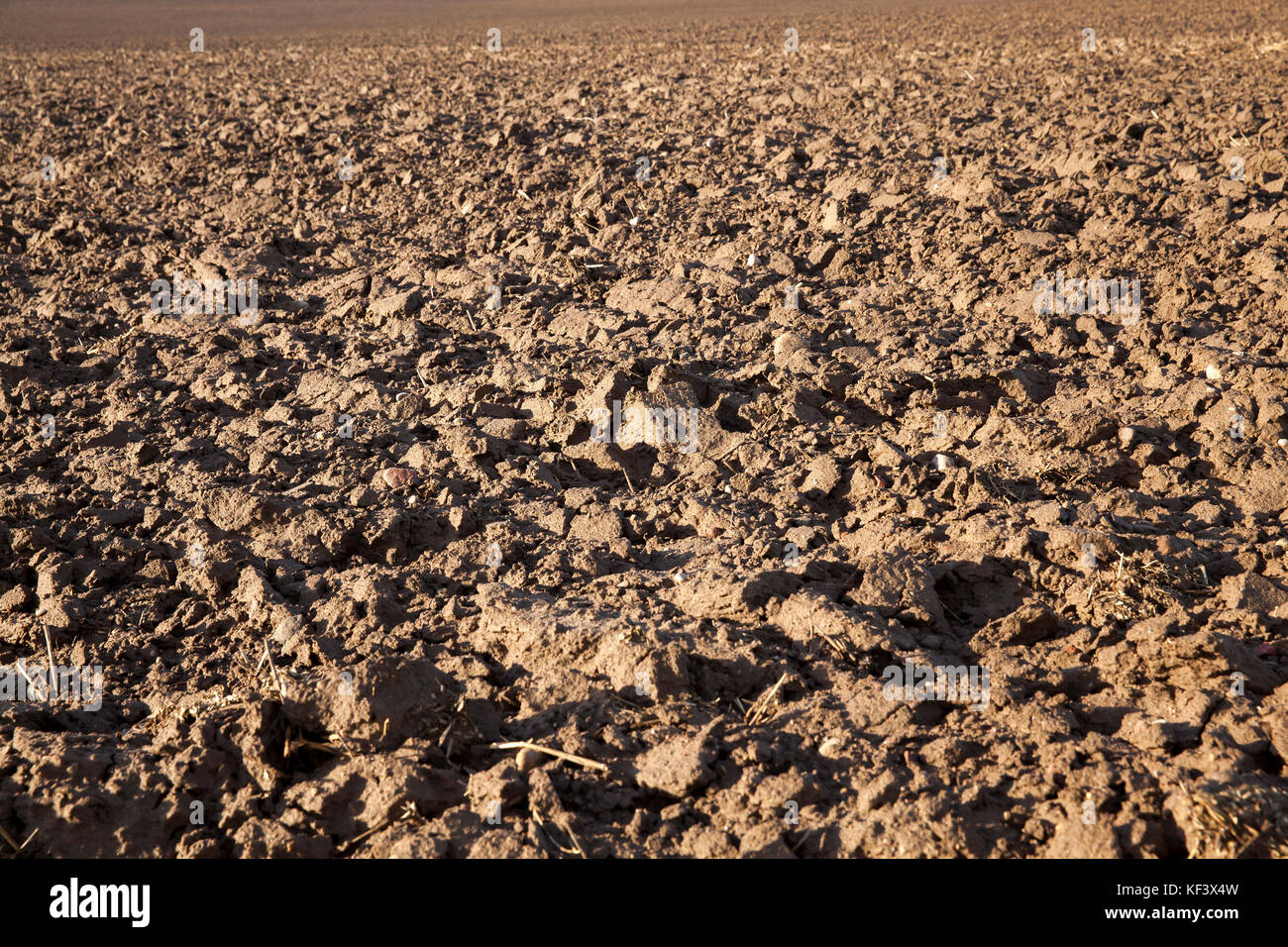 the soil in the field Stock Photo - Alamy