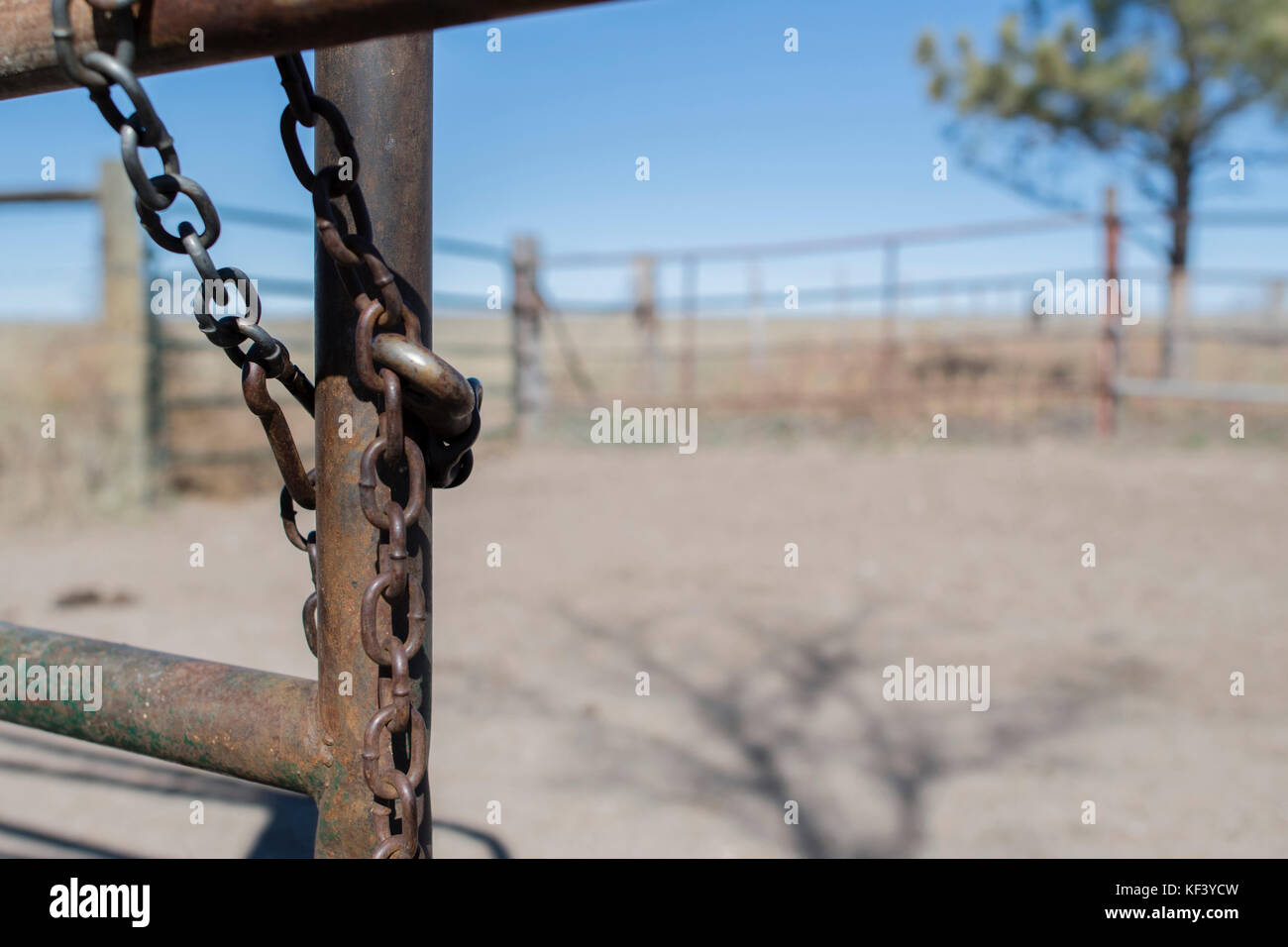 Old Cattle Pen. Iron Chain & Lock on Open Gate with Prairie in the ...