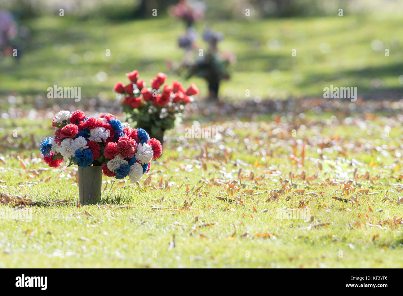 Old growth cemetery hi-res stock photography and images - Alamy