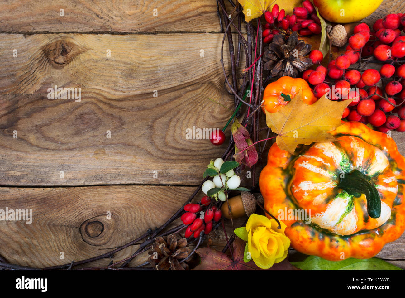Thanksgiving background with decorative pumpkin, red rowan berries and ...