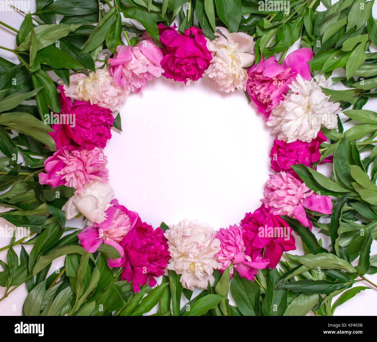Round frame of peonies on a white background. Floral design. Pink and ...