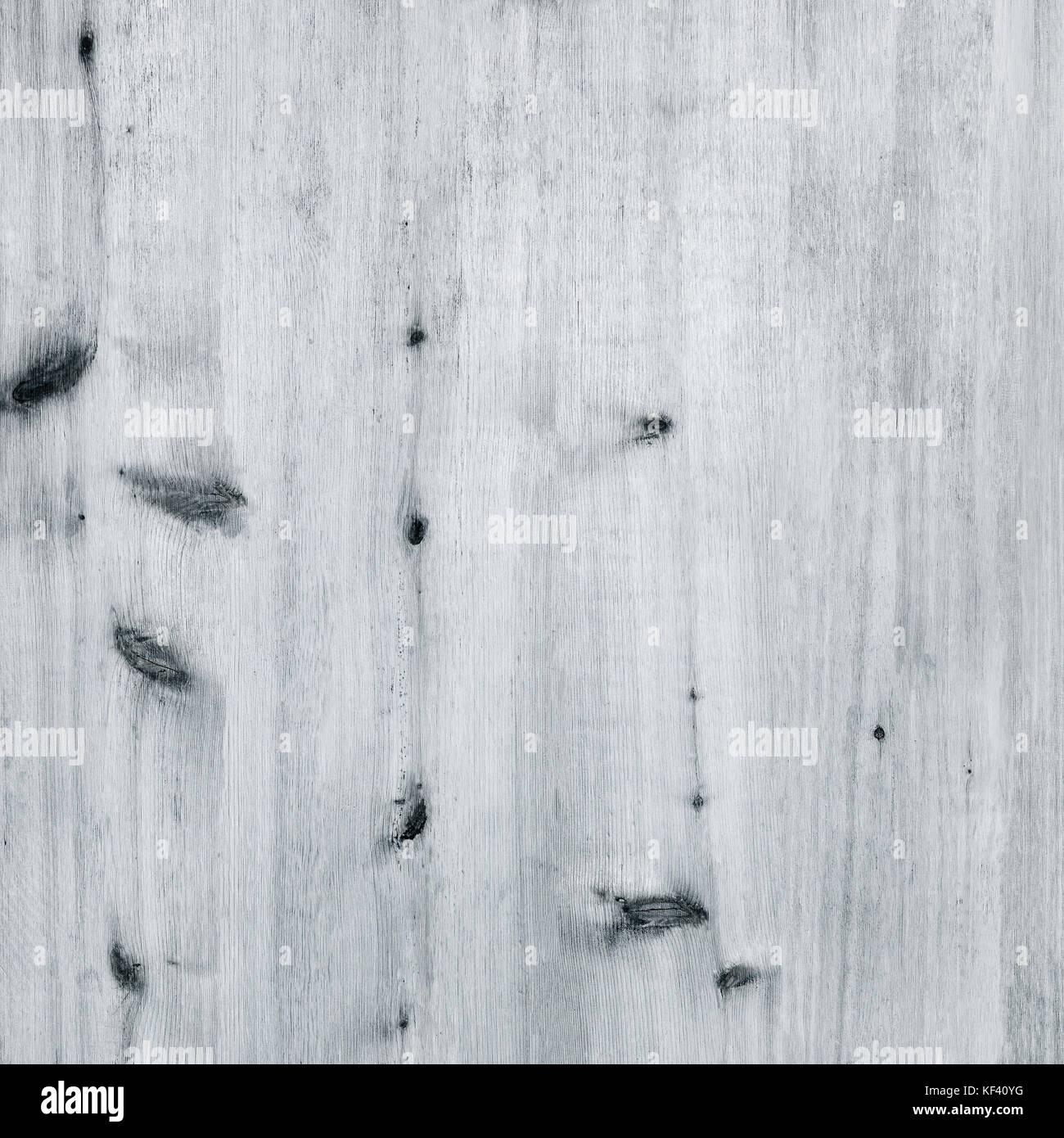 Rustic light grey monochrome wood board background with knots and grain ...
