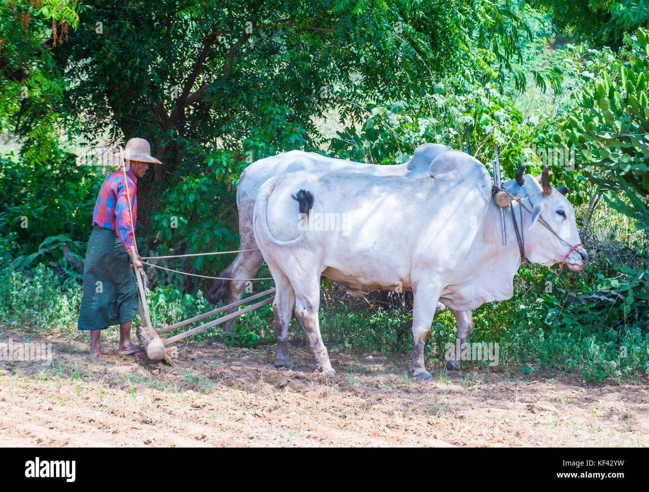 Farming village near bagan hi-res stock photography and images - Alamy