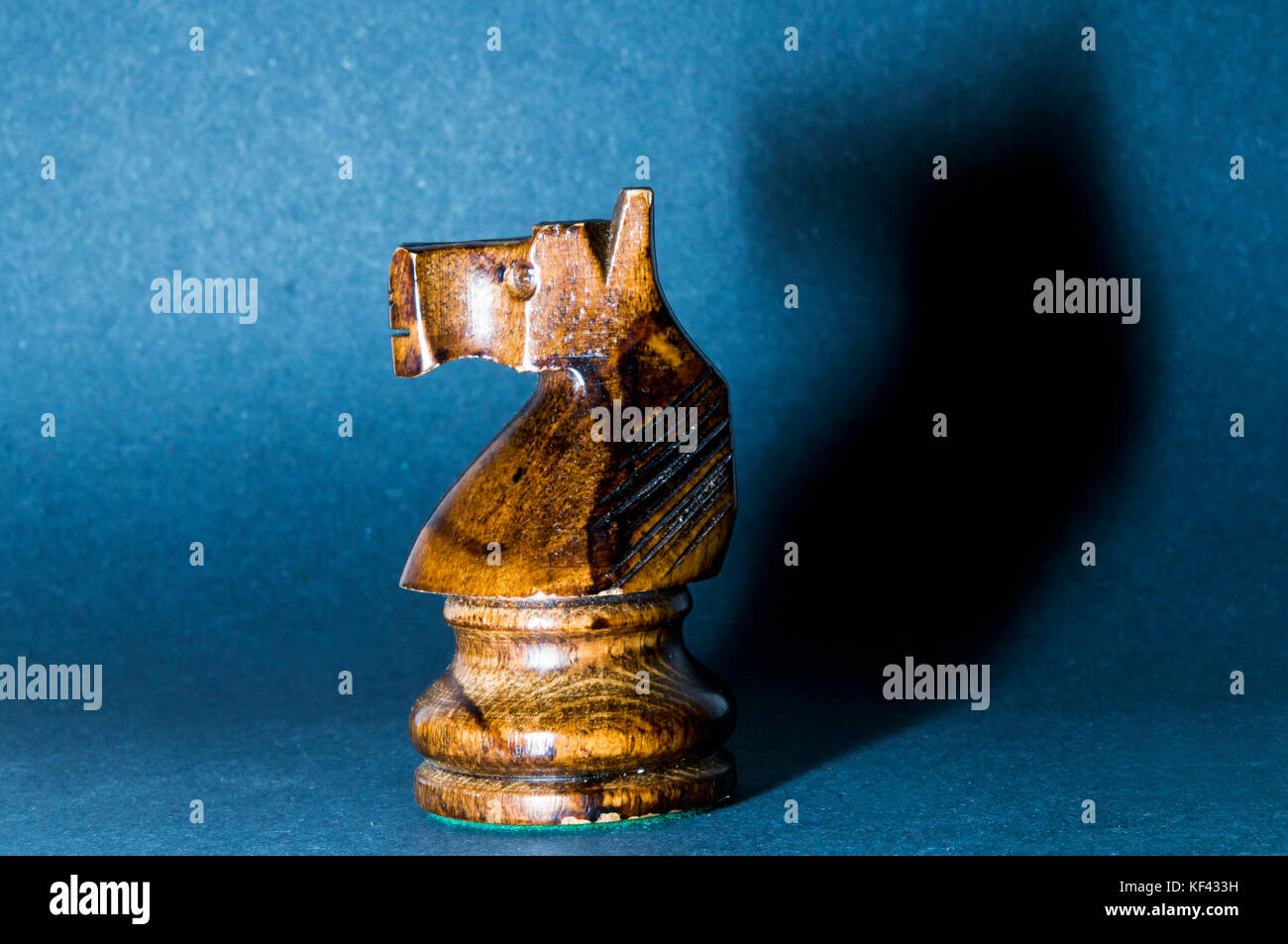 chess Knight piece with a shadow projected Stock Photo - Alamy