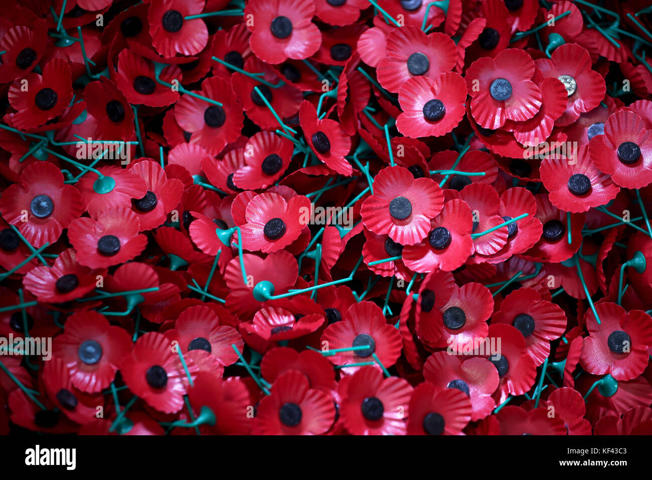 Assembled poppies ready to be dispatched as final preparations are made ...