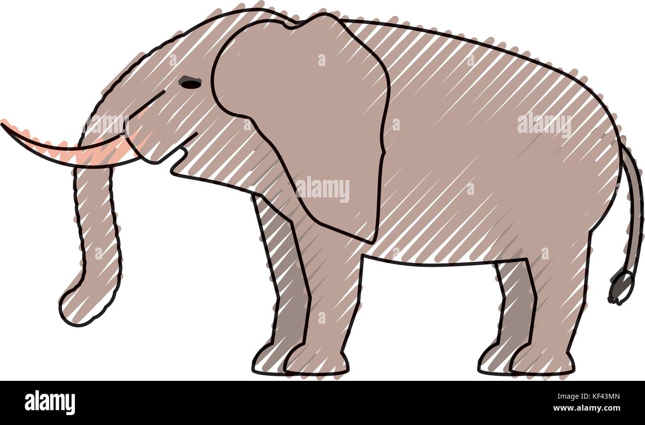 Asian elephant trunk walk Stock Vector Images - Alamy