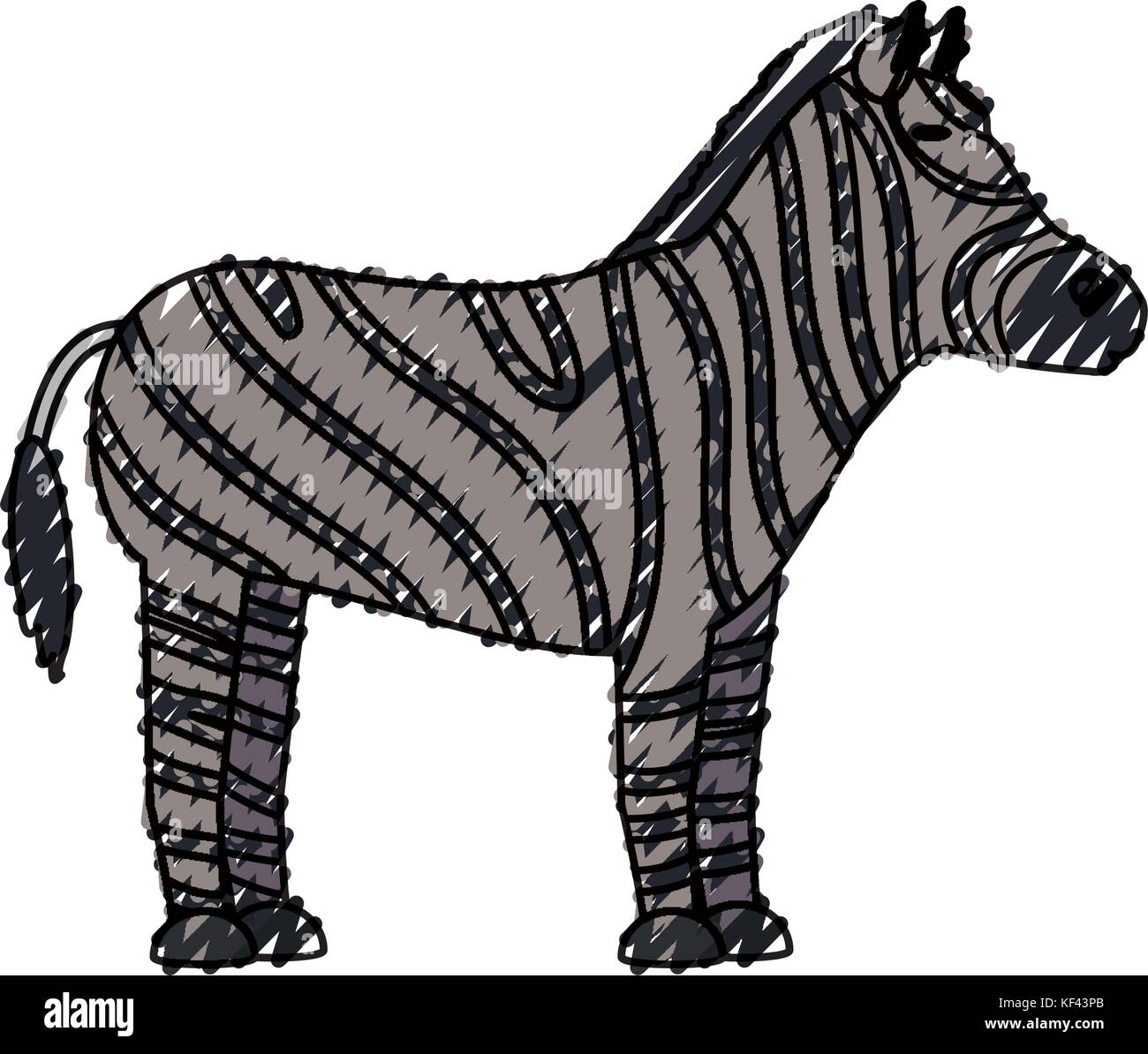 zebra vector illustration Stock Vector Image & Art - Alamy