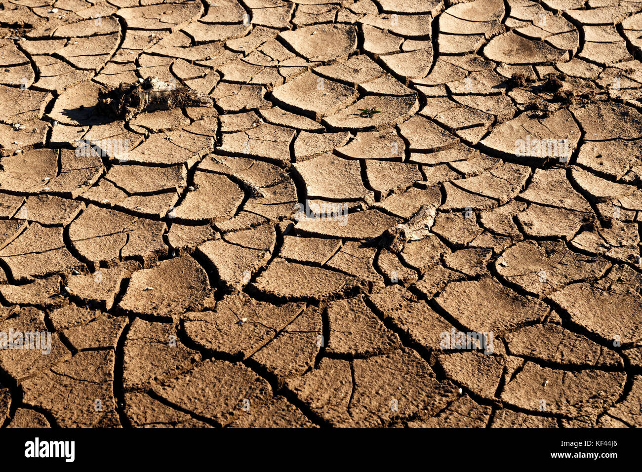 Cracks in drought affected earth Stock Photo - Alamy