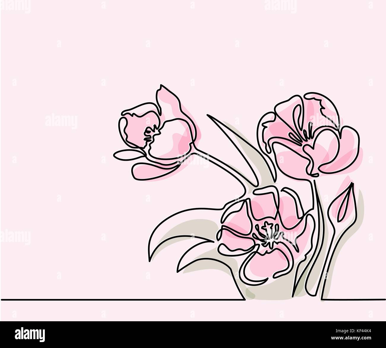 Beautiful soft color pink tulips flowers. Continuous line drawing ...