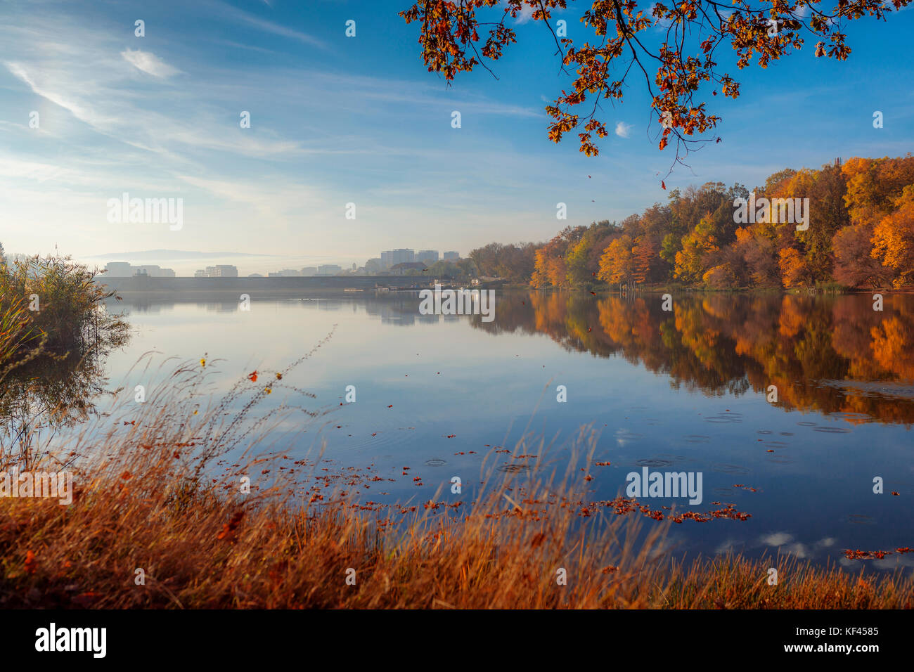 Golden hour autumn hi-res stock photography and images - Alamy
