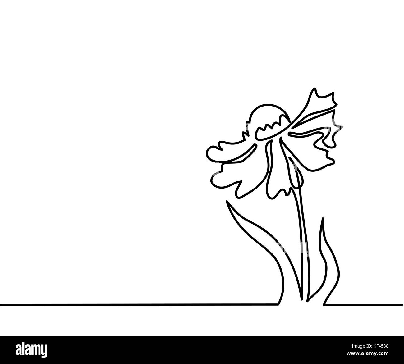 Beautiful flowers Echinacea. Continuous line drawing. Vector ...