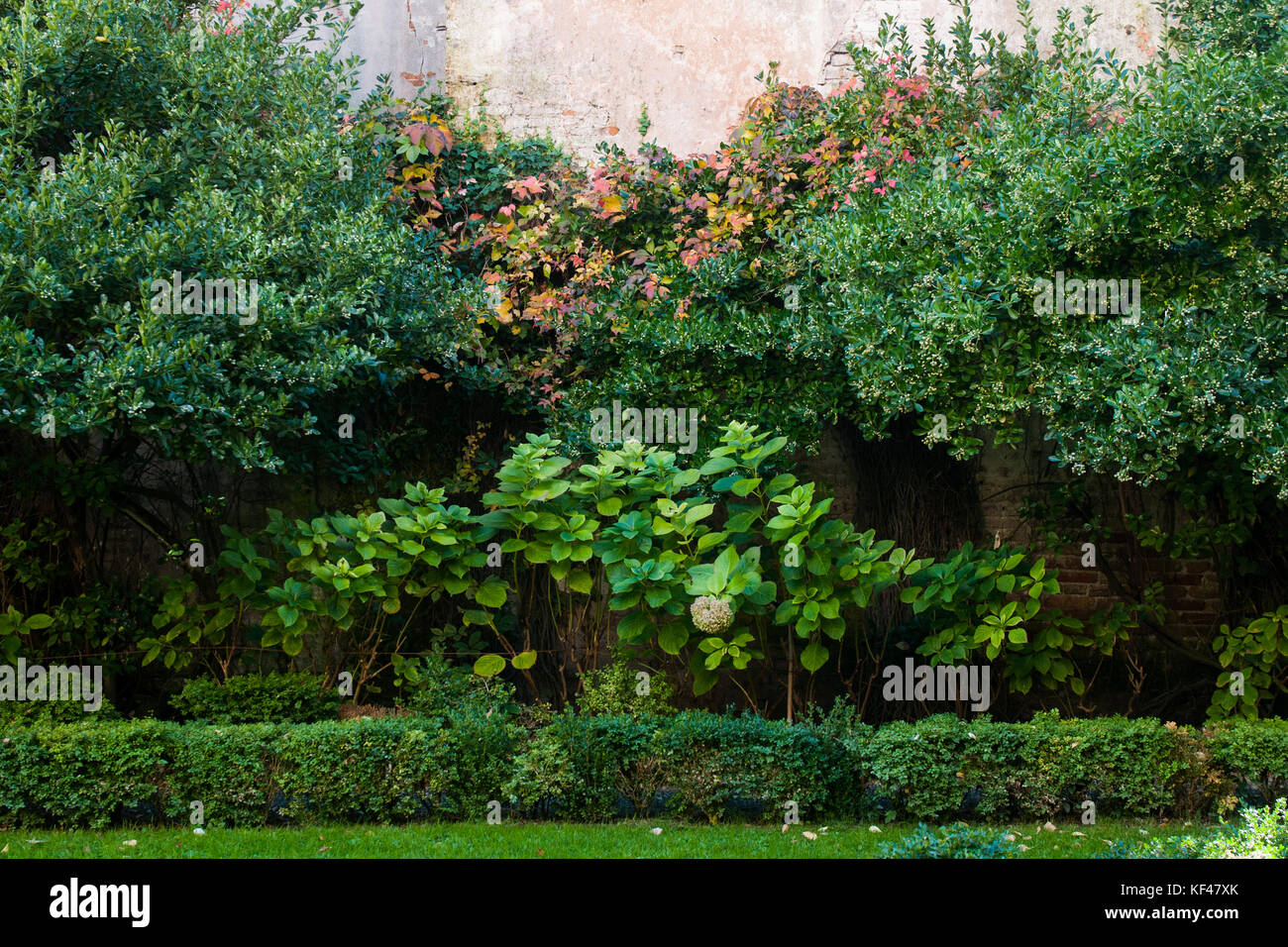 Venice, Italy. October, 2017. Plants and trees changing foliage in the ...