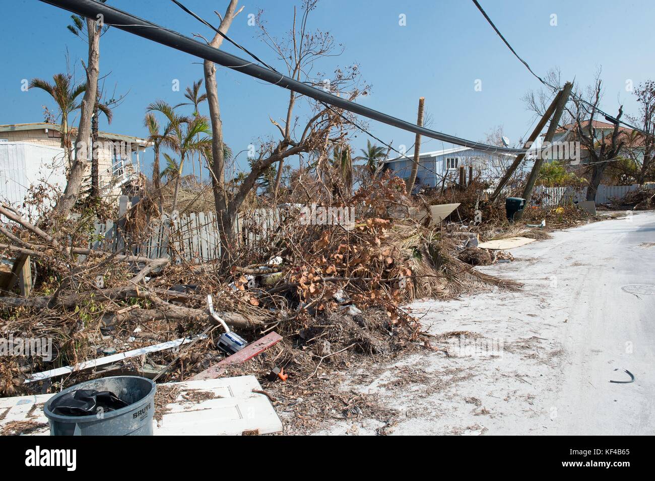Hurricane palm trees destroyed hi-res stock photography and images - Alamy