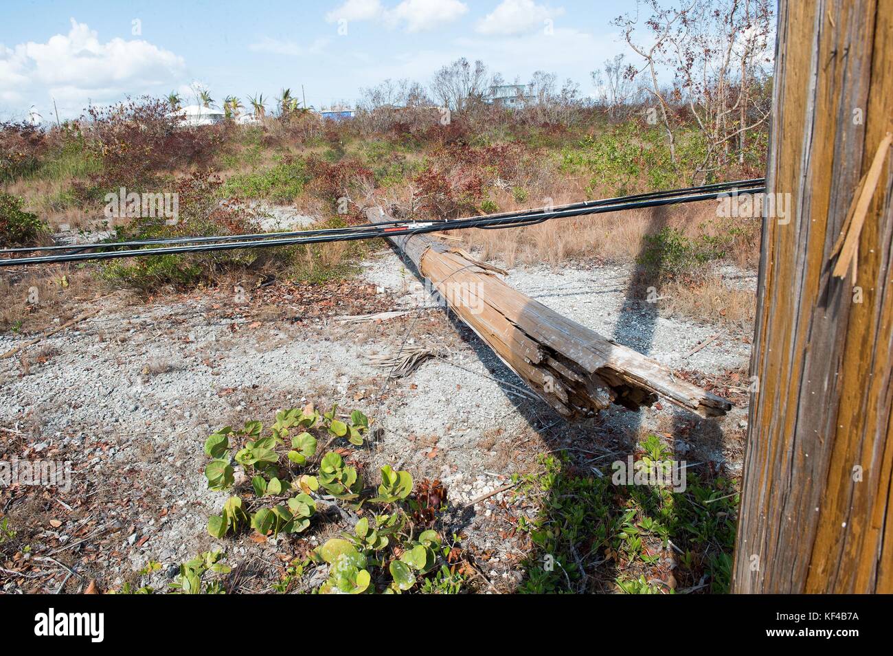 A downed power line lays across a snapped electric tower in the ...