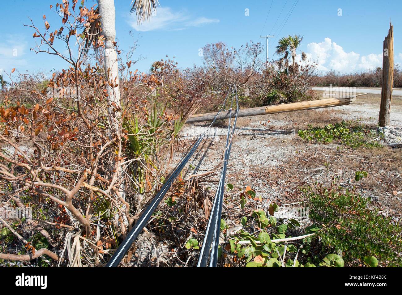 A downed power line lays across a snapped electric tower in the ...