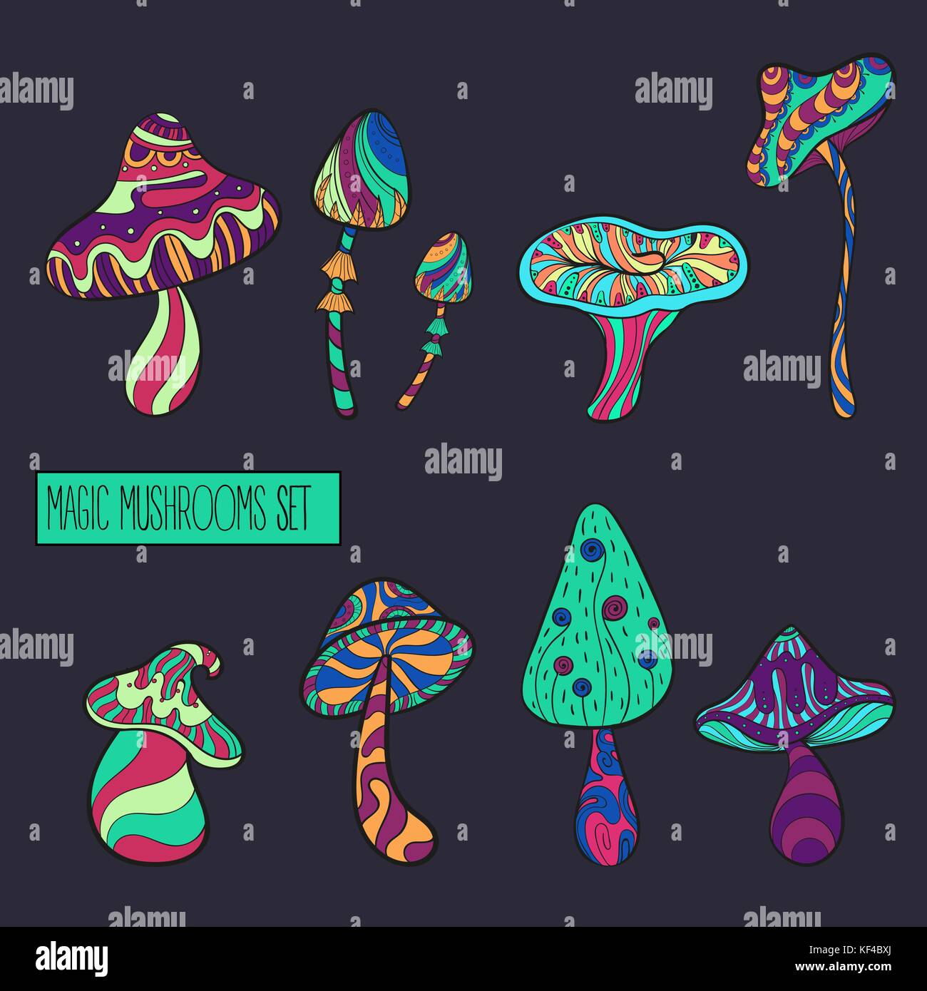 Forest mushroom chanterelle fungi Stock Vector Images - Alamy