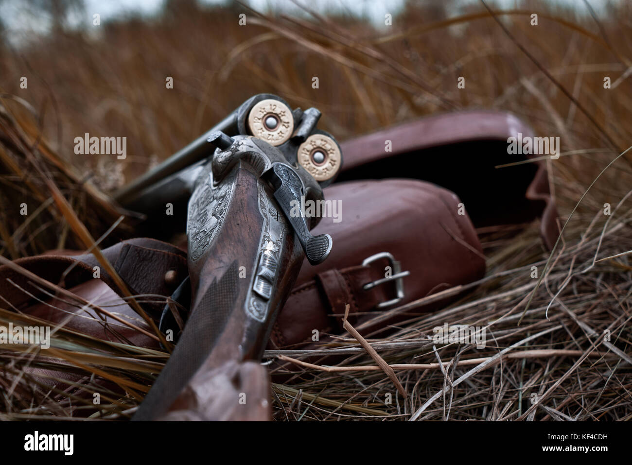 An old horizontal double-barrel in the autumn field Stock Photo - Alamy