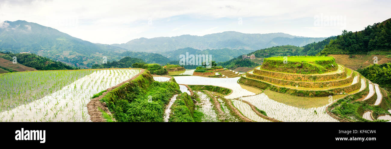 Terraced rice fields panorama in Longsheng, southern China Stock Photo ...