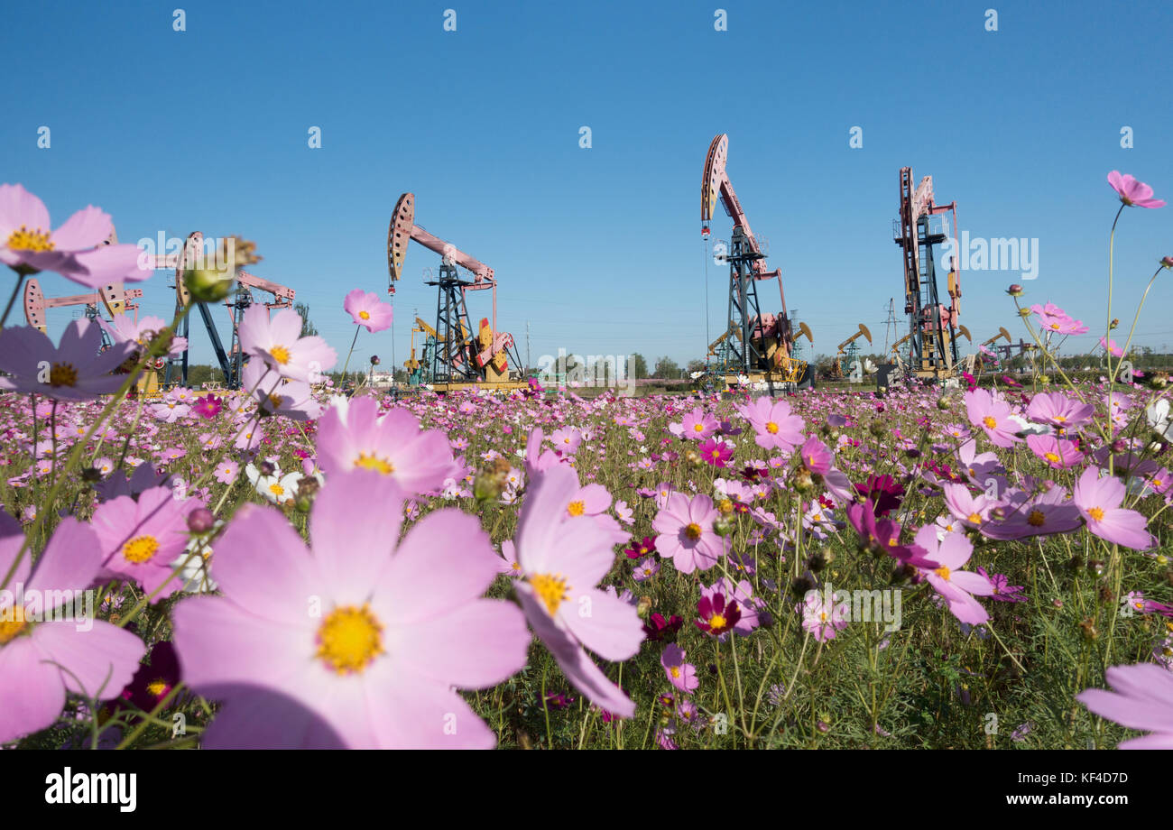 Oilfields of Daqing,Heilongjiang Province,China Stock Photo - Alamy
