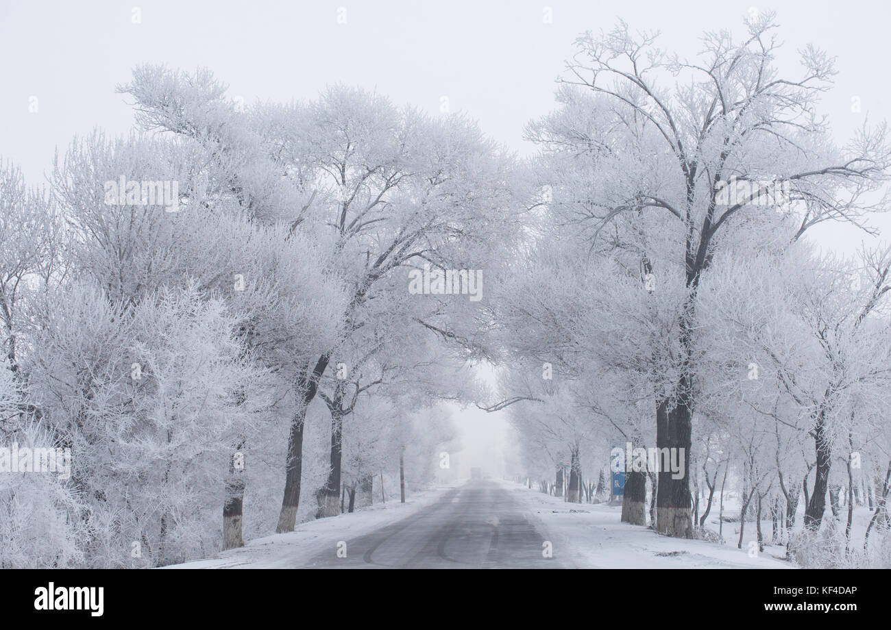 Woods and rime hi-res stock photography and images - Alamy
