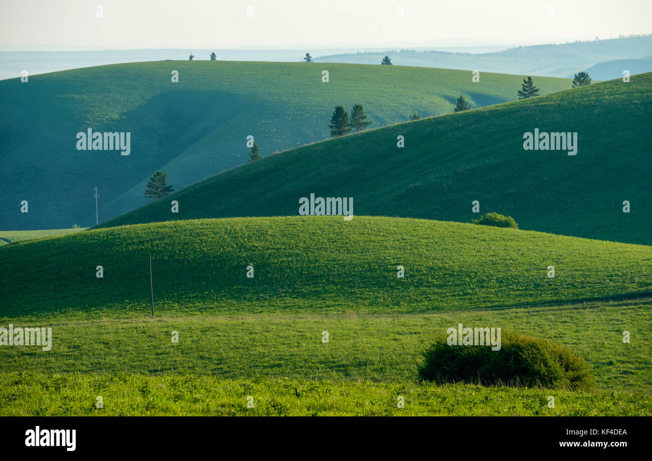 Bashang grassland of Hebei Province,China Stock Photo - Alamy