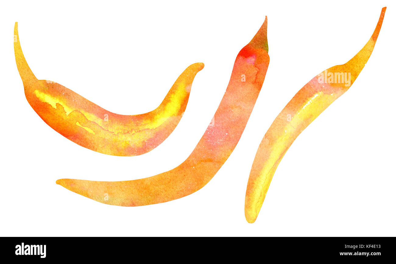 Set of golden watercolour chili peppers, isolated on white Stock Photo ...