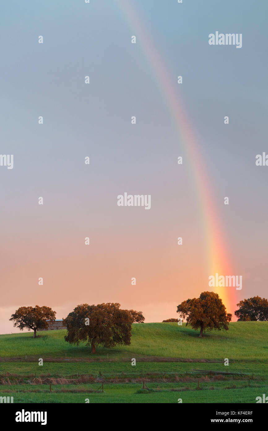 Beautiful landscape with a amazing rainbow Stock Photo - Alamy