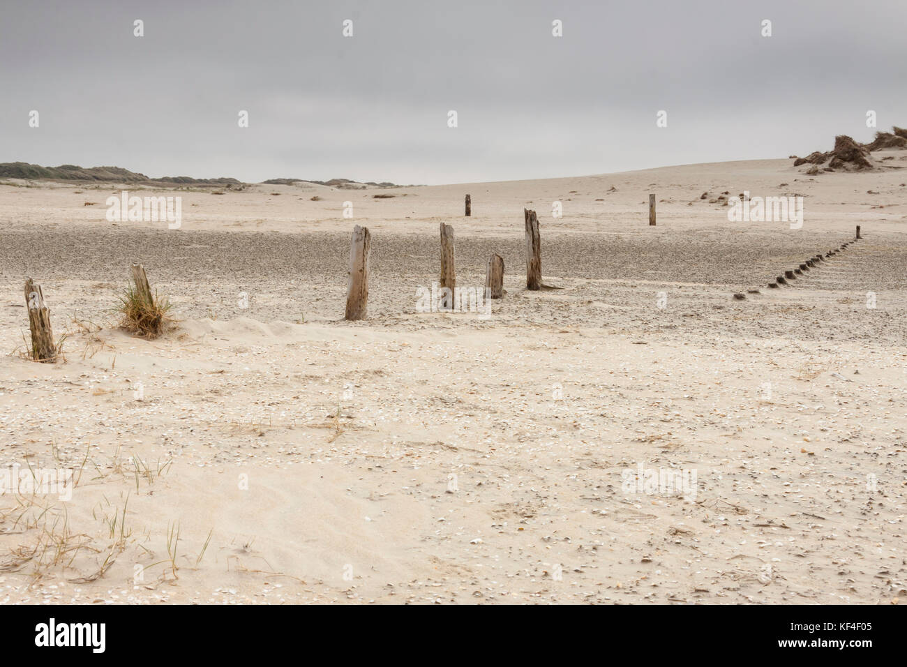 Beach on Romo Island. Denmark, Europe Stock Photo - Alamy