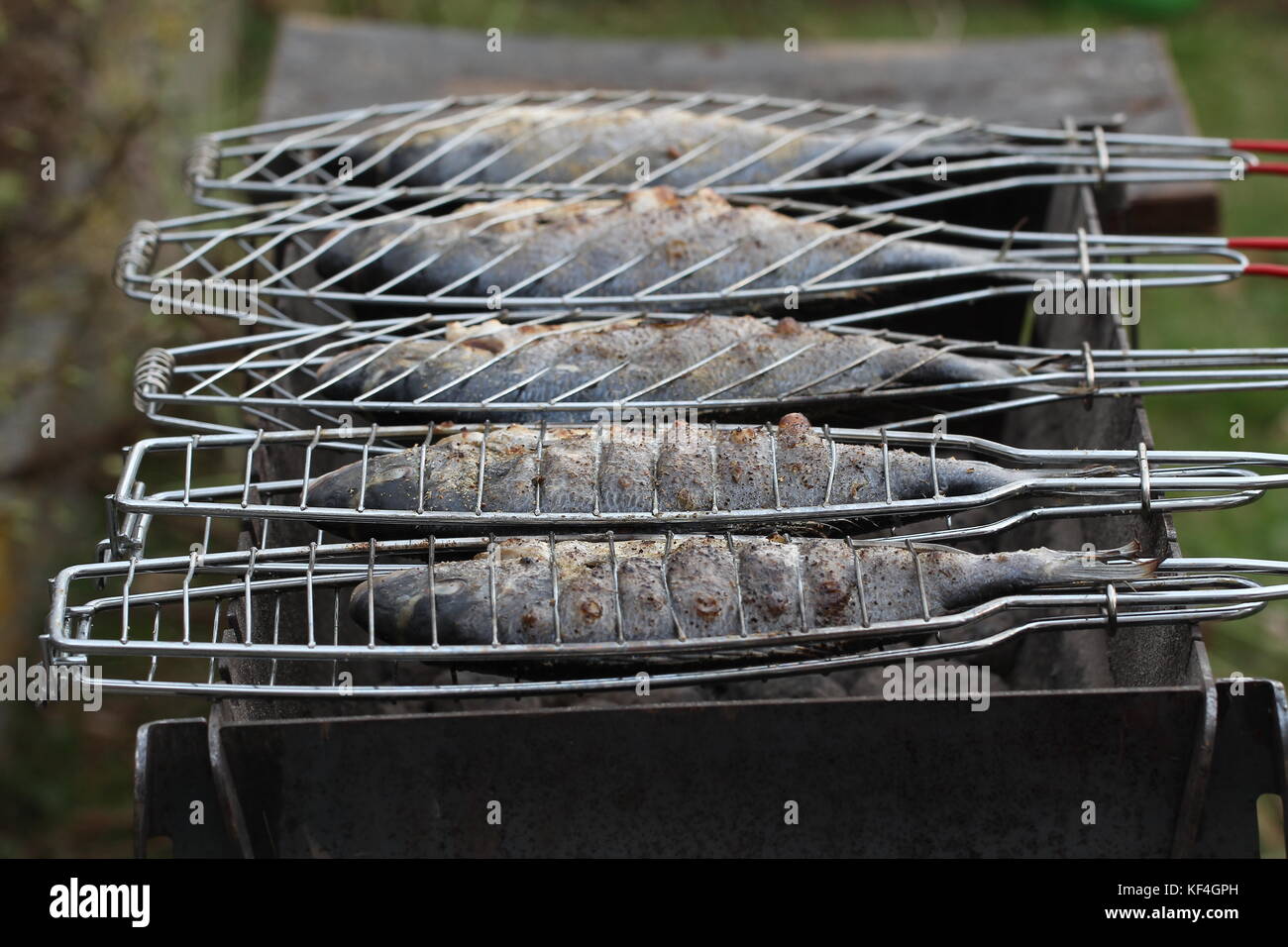 Fish grill / Toasted fish / Fried fish Stock Photo - Alamy