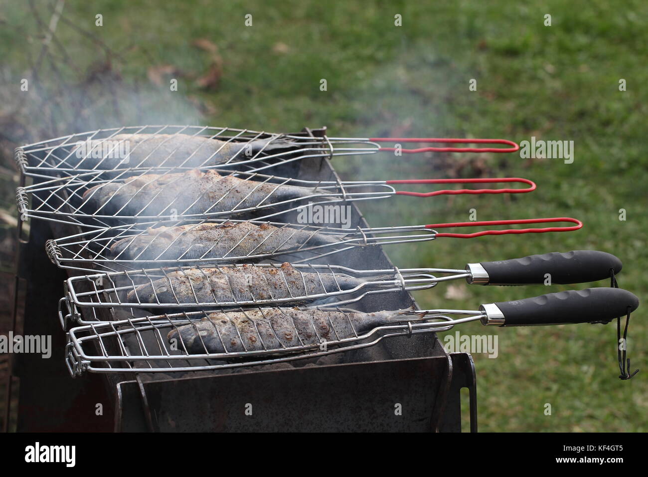 Fish grill / Toasted fish / Fried fish Stock Photo - Alamy