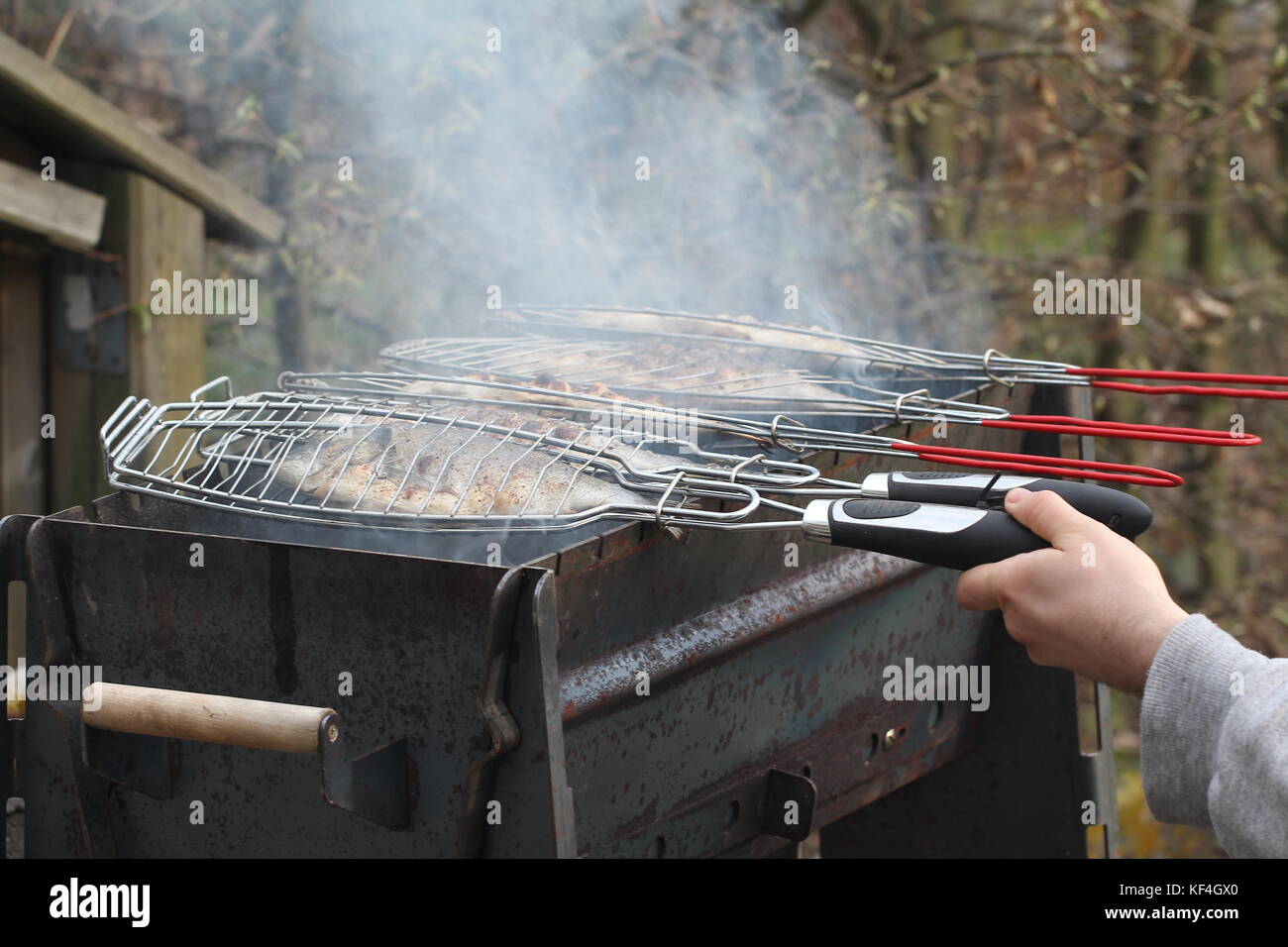 Fish grill / Toasted fish / Fried fish Stock Photo - Alamy