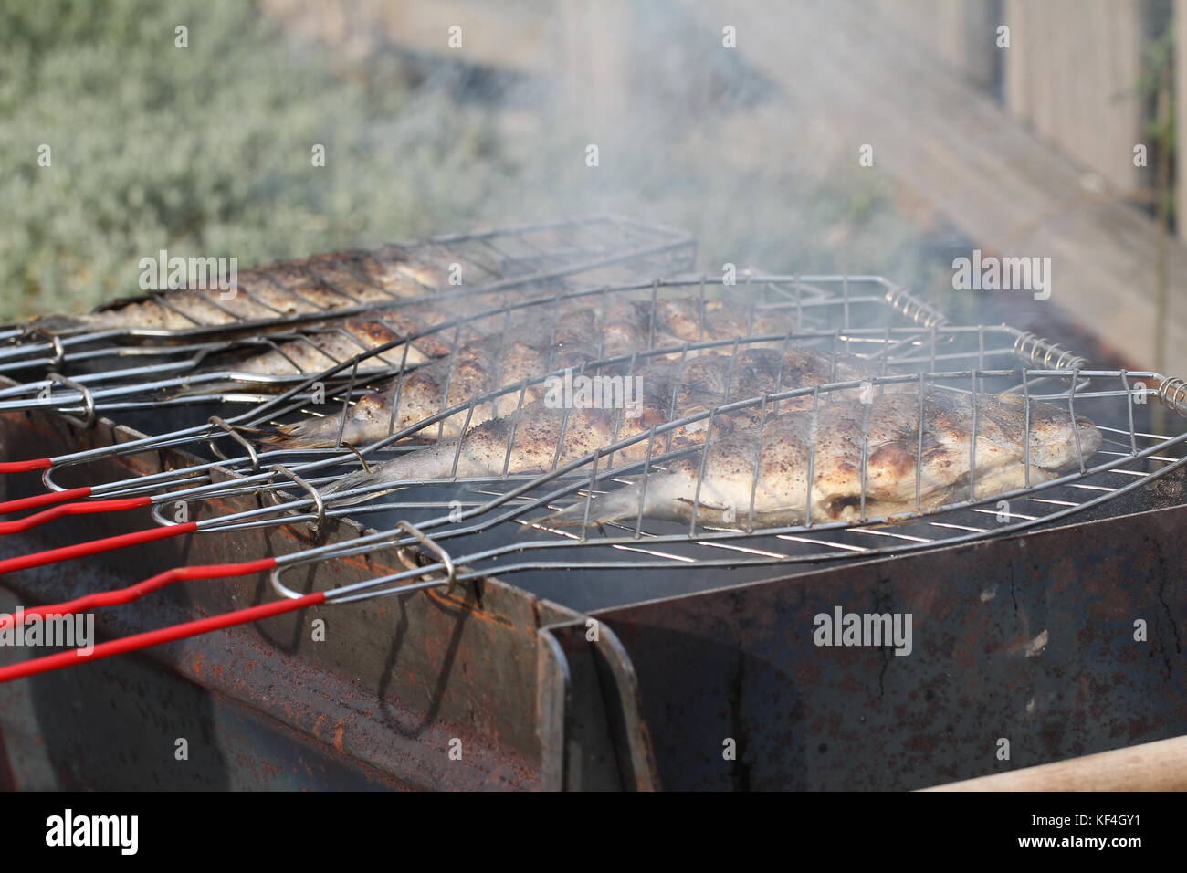 Fish grill / Toasted fish / Fried fish Stock Photo - Alamy