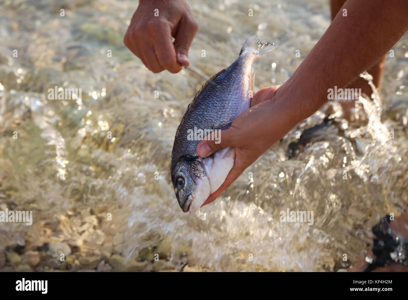 Fish processing / Fish processing outdoors. Detail Stock Photo - Alamy