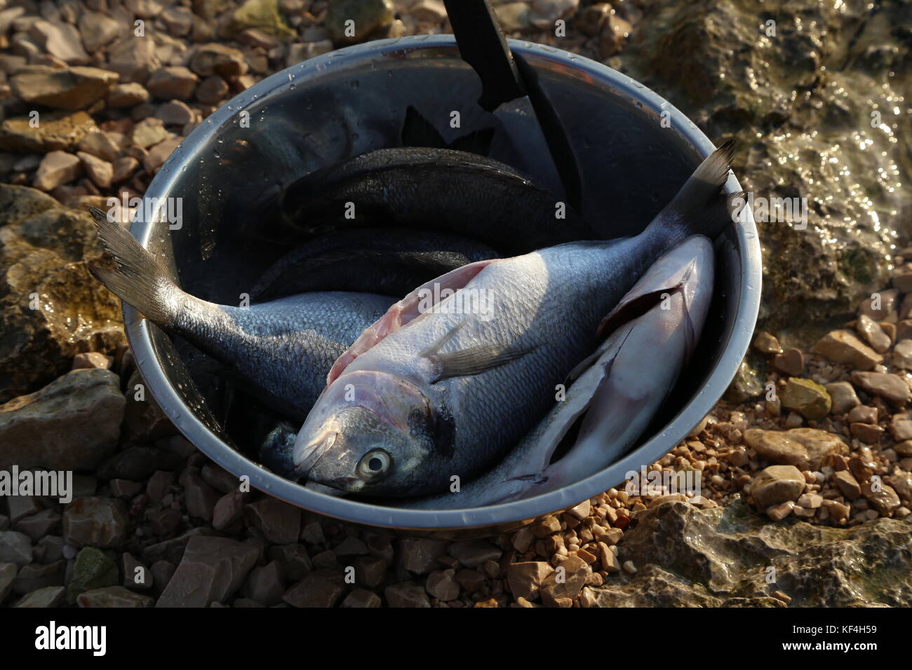 Fish processing / Fish processing outdoors. Detail Stock Photo - Alamy