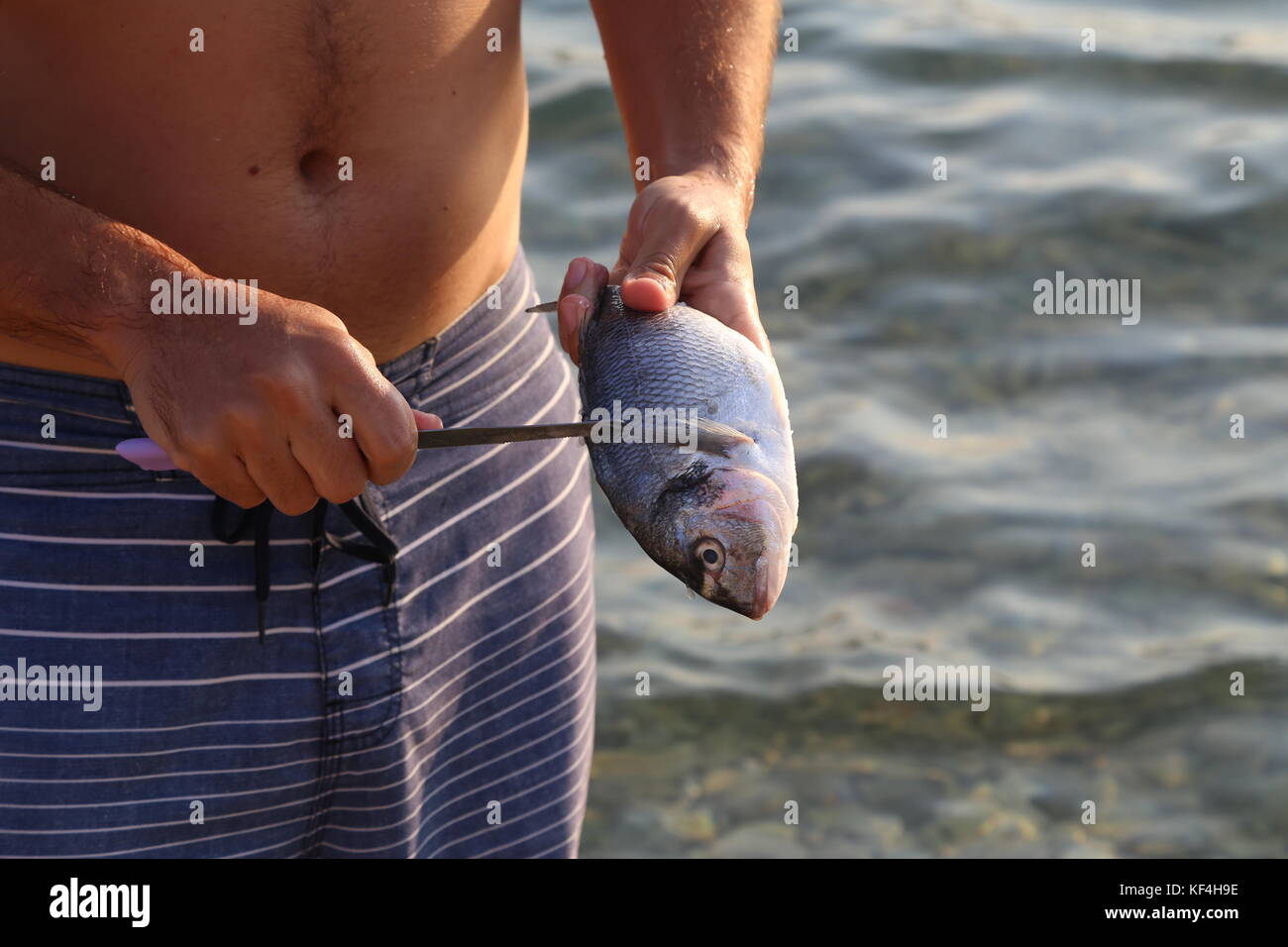 Fish Processing Industry High Resolution Stock Photography and Images ...