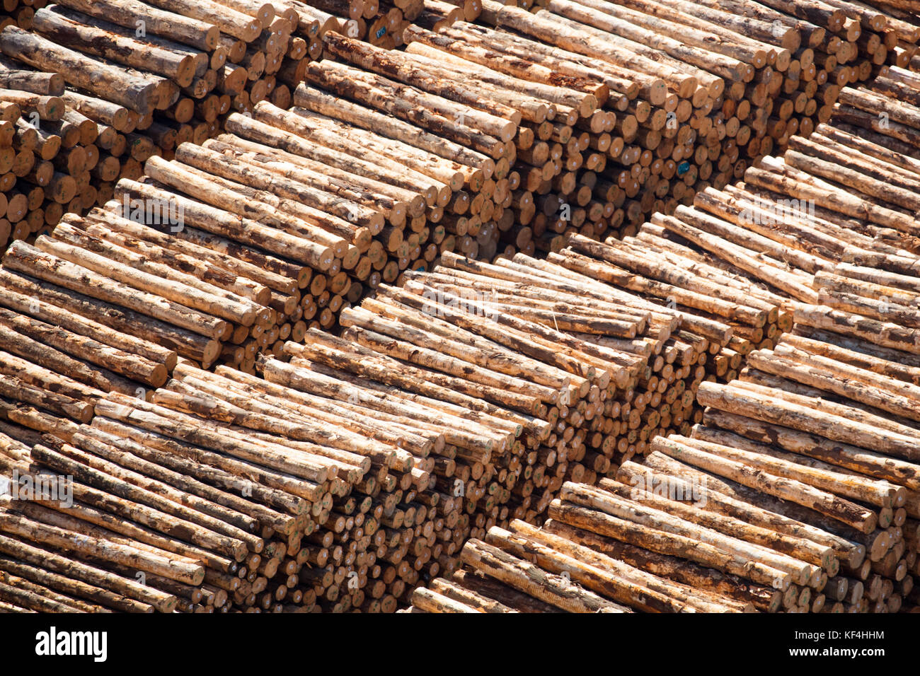 Log Piles For Export Stock Photo - Alamy