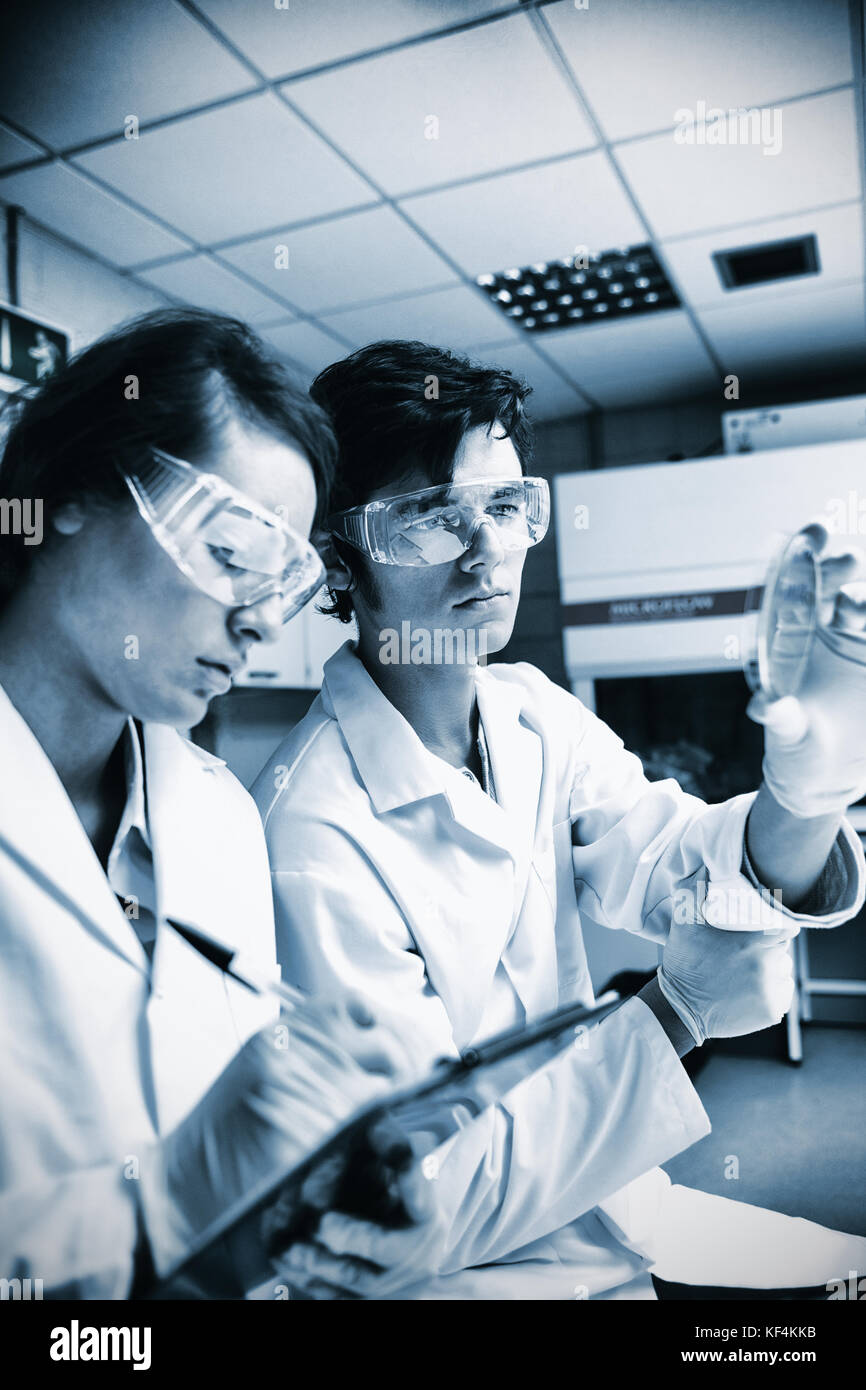Scientist working in laboratory Stock Photo - Alamy