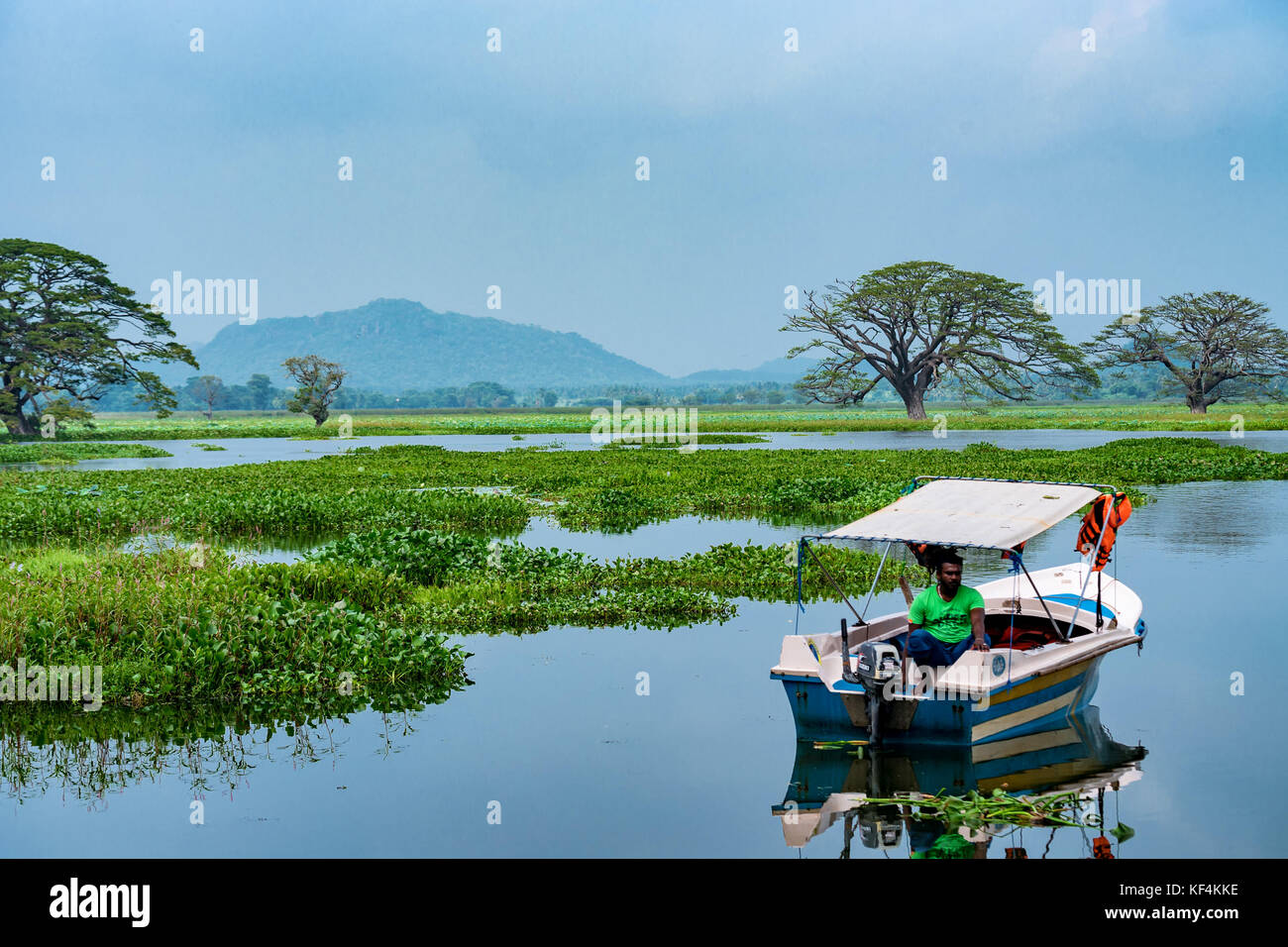 ANURADHAPURA, SRI LANKA - NOVEMBER 2013: Fisherman on Tissa Lake Stock ...