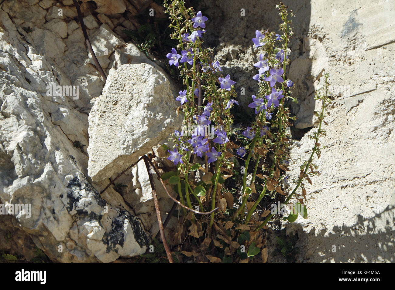 amazing wide landscape on a mountain in dubrovnik Stock Photo - Alamy