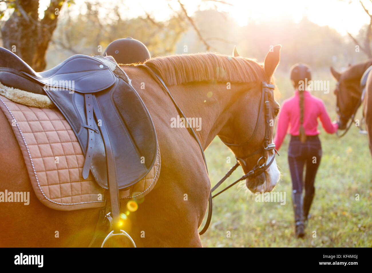 Group of rider girls walking with horses in park. Equestrian recreation ...