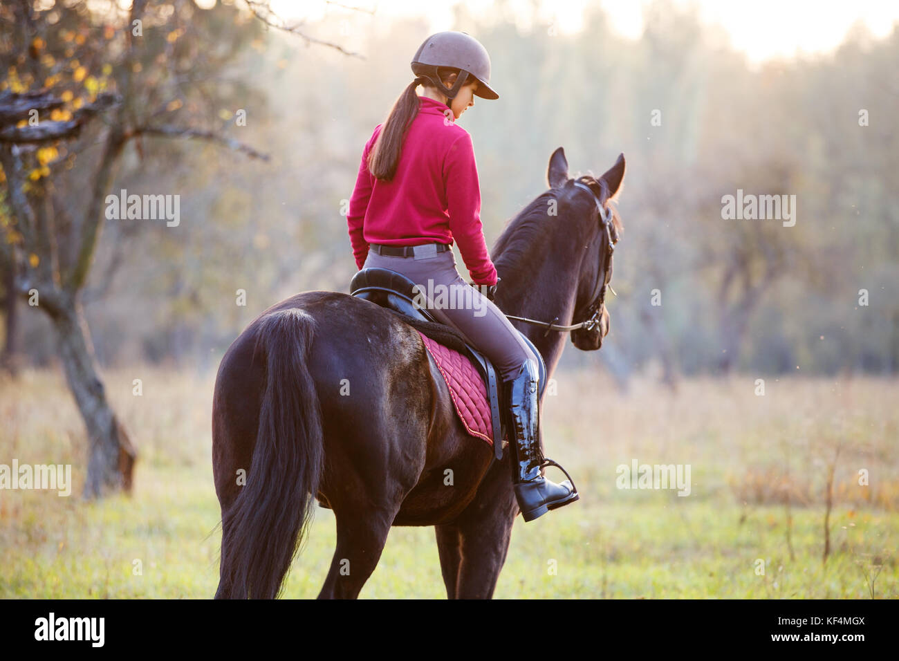 Young rider girl on bay horse in the autumn park at sunset. Teenage ...