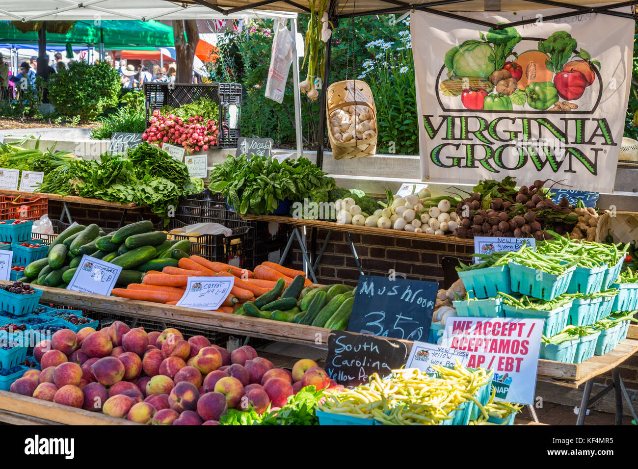 Alexandria, Virginia. Saturday Farmers Market, Fruit and Vegetable ...