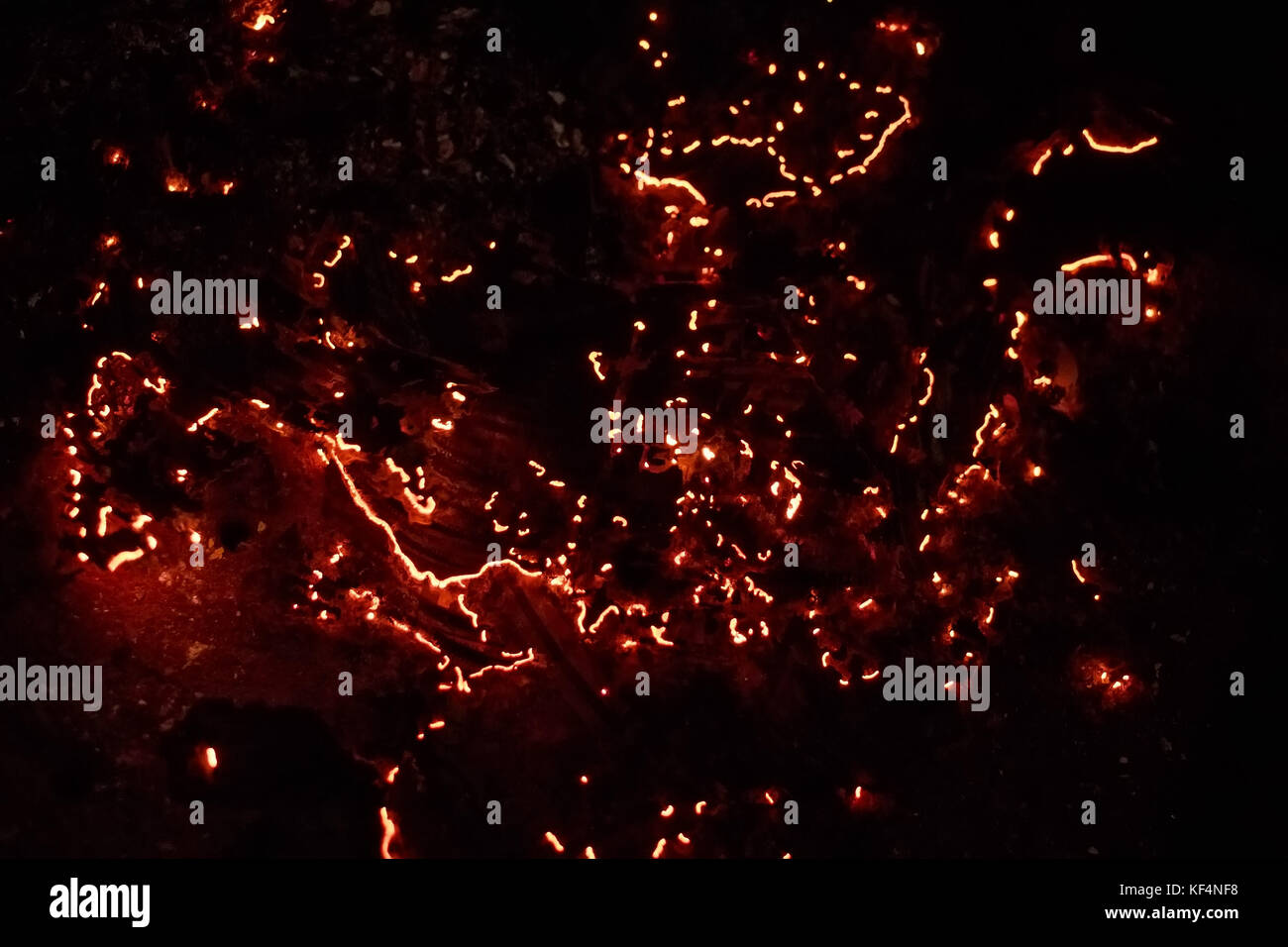 Close up of smoldering sheets of paper for abstract background Stock ...