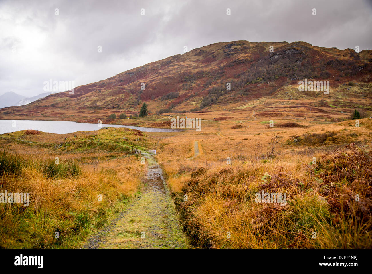 Loch Arklet a secluded reservoir in the national park of Trossachs and ...