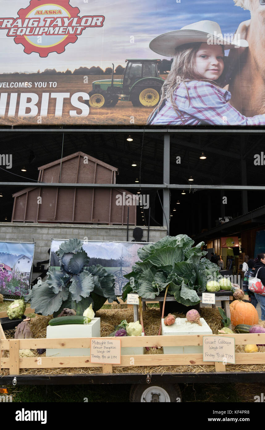 Alaska State Fair, Food, Produce, vegetables, Palmer, Alaska, USA ...