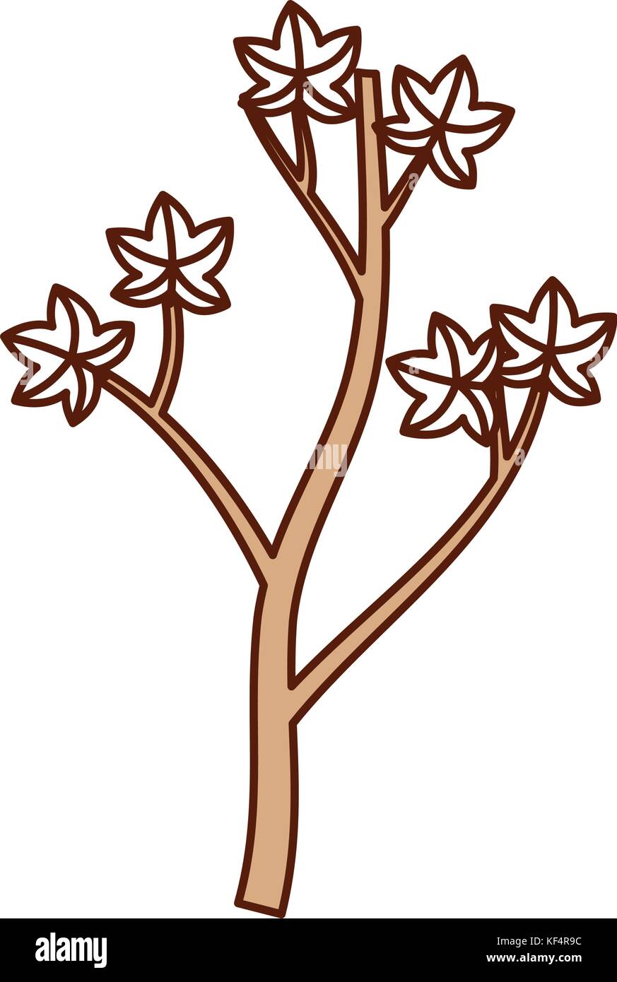 autumn branch of tree and leaves seasonal Stock Vector Image & Art - Alamy