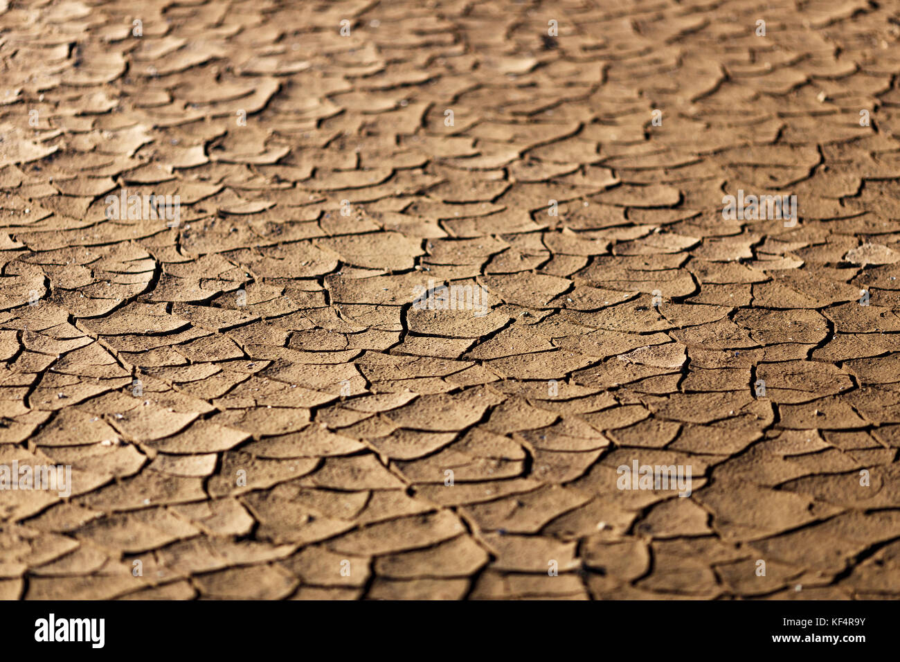 Cracks in drought affected earth Stock Photo - Alamy