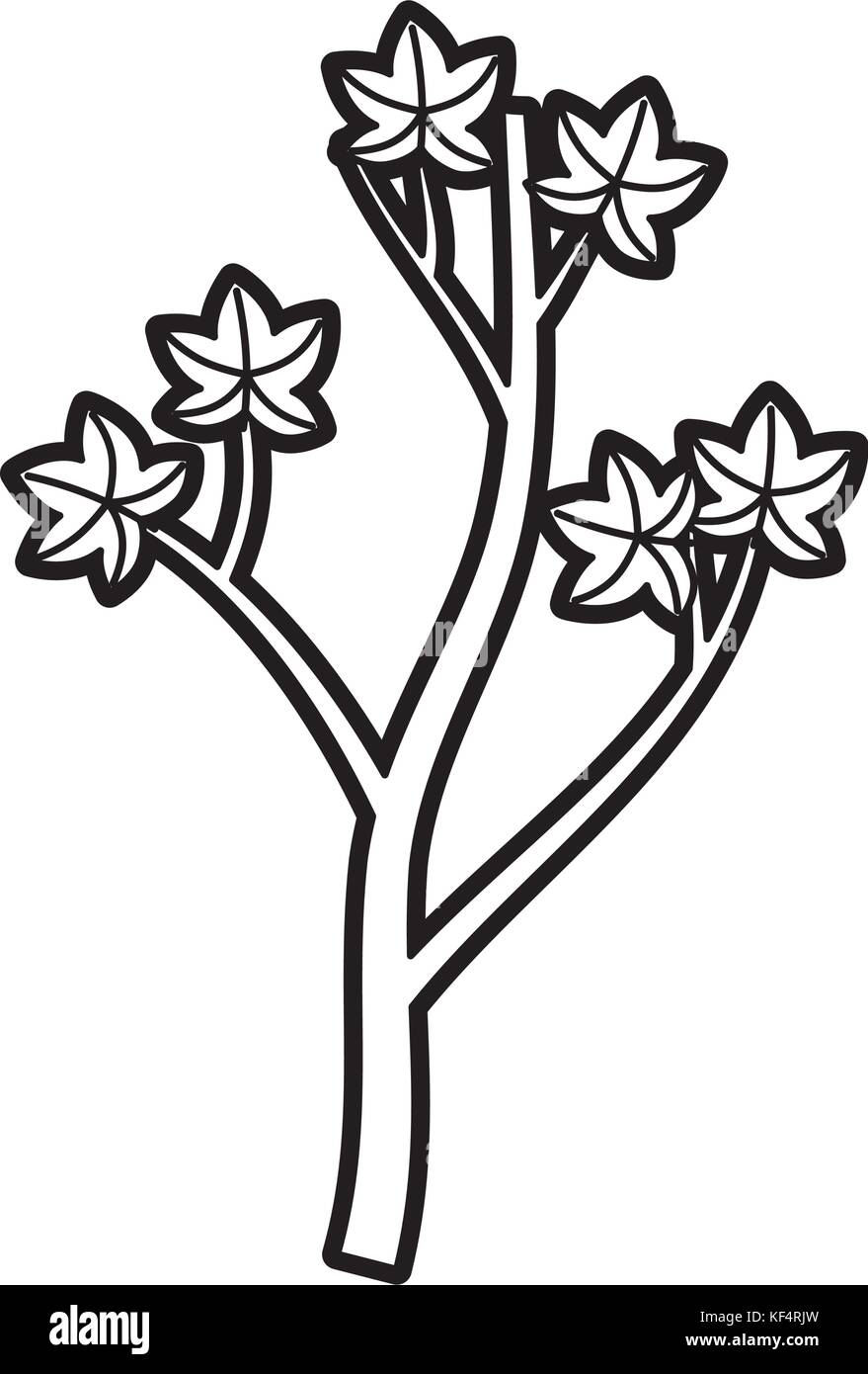 cartoon tree berries on branch natural Stock Vector Image & Art - Alamy